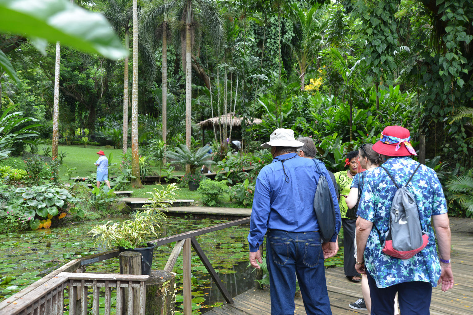 7 Best Tours In Fiji: Uncover Hidden Gems - Updated 2022 | Trip101