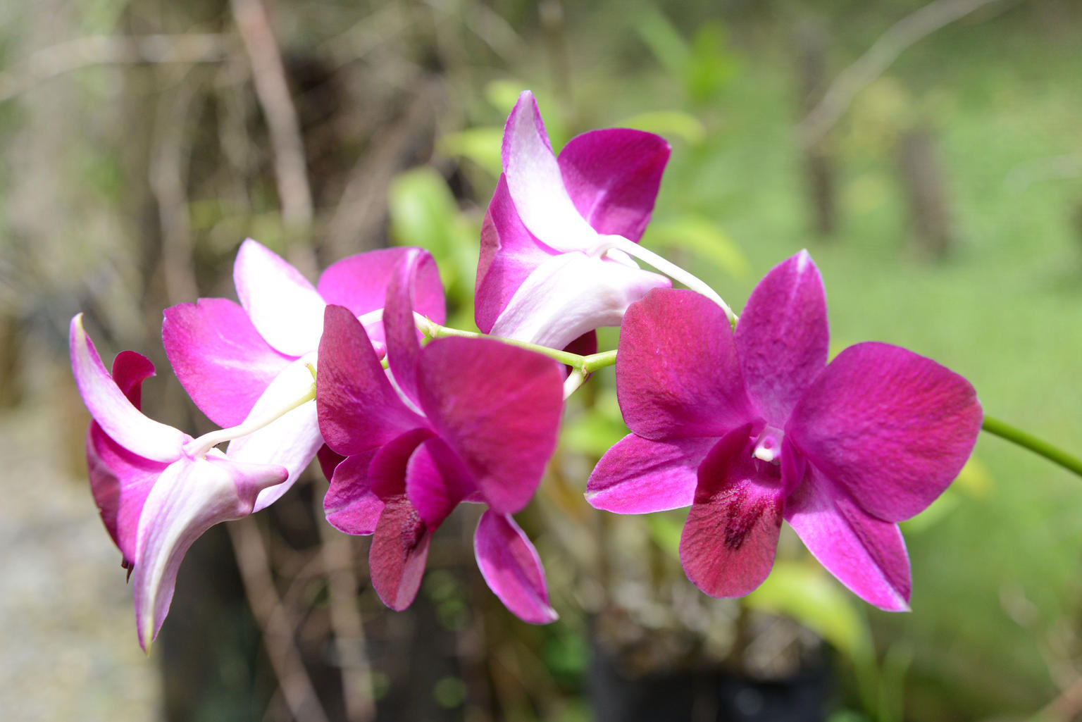 7 Best Tours In Fiji: Uncover Hidden Gems - Updated 2022 | Trip101