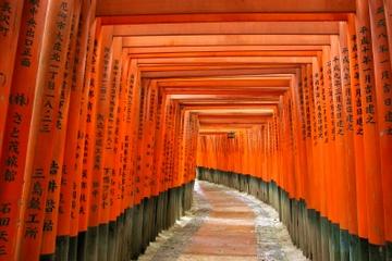 Inari After Dusk 2021 - Kyoto