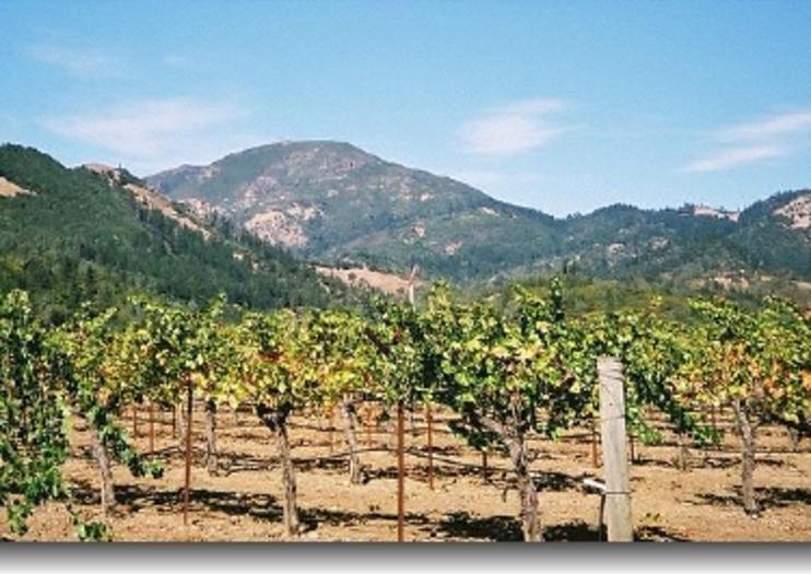 The Best Silverado Trail Tours & Tickets 2020 - Napa & Sonoma | Viator