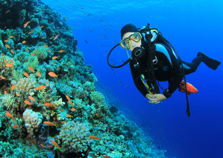 Scuba Diving in Sharm el Sheikh - 2020 Travel Recommendations | Tours ...
