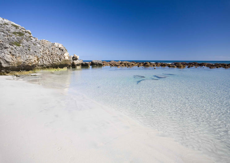 The Best Stokes Bay Tours & Tickets 2021 - Kangaroo Island | Viator