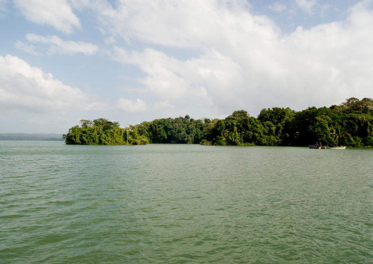 The Best Barro Colorado Island Tours & Tickets 2021 - Panama City | Viator