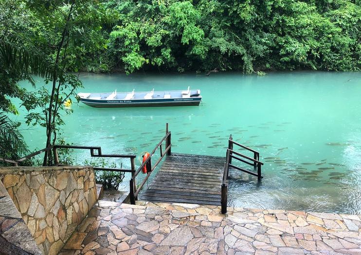 The Best Rio da Prata Ecological Reserve (Recanto Ecologico Rio da ...