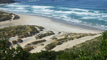 The 10 Best Dunedin & The Otago Peninsula Tours, Excursions ...