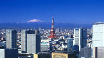 Tokyo Morning Sightseeing Tour 2018