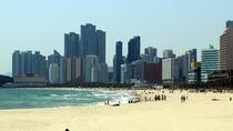 The 10 Best Busan Tours, Excursions & Activities 2017