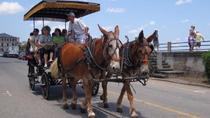 Charleston Carriage Ride and Guided History 1-Hour Tour 2018