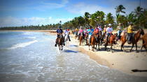 The Top 10 Punta Cana Horseback Riding Tours (w/Prices)