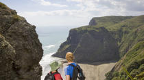 Waitakere Ranges Guided Walk from Auckland 2018