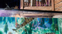 SEA LIFE Aquarium Arizona 2018 - Phoenix