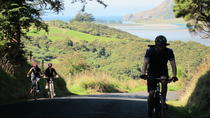 The 10 Best Dunedin & The Otago Peninsula Tours, Excursions ...