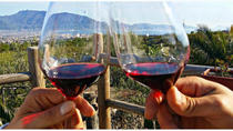 Wine Tasting on the slopes of Mount Vesuvius from Naples 2018