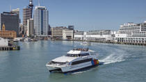 The 10 Best Auckland Tours, Excursions & Activities 2017
