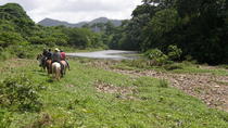 The Top 10 Punta Cana Horseback Riding Tours (w/Prices)