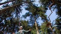 High Ropes Experience from Interlaken Including BASE Jump Simulator and ...