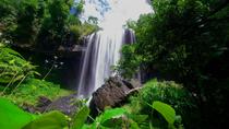 Cairns to Atherton Tablelands Full-Day Tour with Picnic Lunch 2018 ...