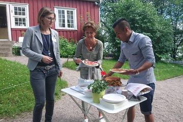 The 10 Best Norway Tours, Excursions & Activities 2018