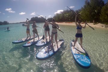 The 10 Best Rarotonga Tours, Excursions & Activities 2018