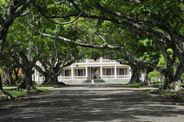 The Top 10 Things to Do in Mauritius 2017 - Must See Attractions in ...