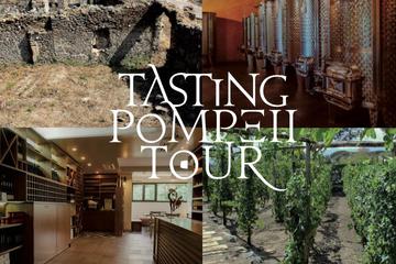 The 10 Best Pompeii Tours, Excursions & Activities 2018