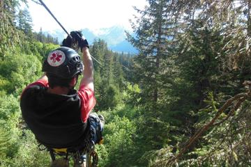 The Top 10 Things to Do in Anchorage 2016 - TripAdvisor