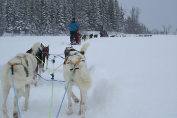 The Top 10 Tromso Tours - TripAdvisor