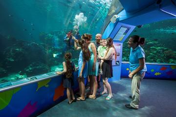 Reef HQ Great Barrier Reef Aquarium General Entry Ticket 2017 - Townsville