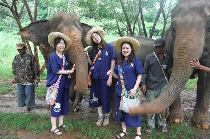 Elephant's Heaven: Half-Day Elephant Experience at Baanchang Elephant ...
