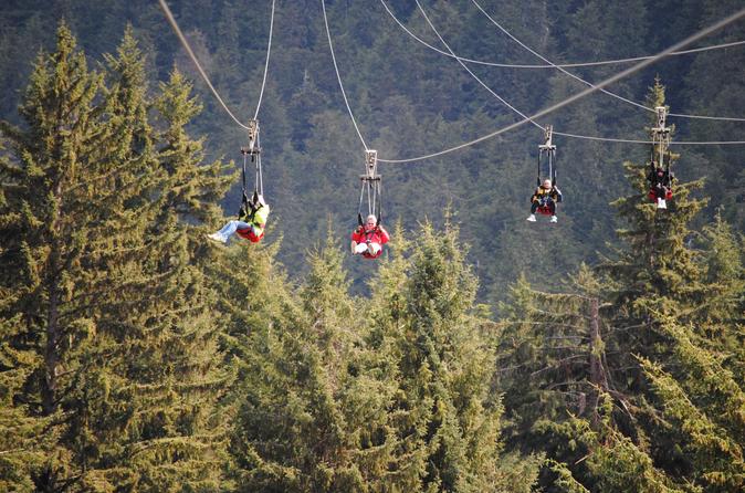 Whale Watching and ZipRider Combo 2019 - Hoonah