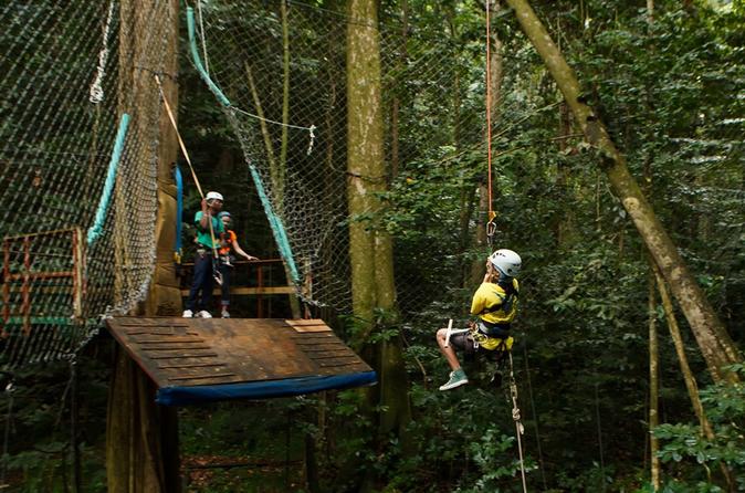 St Lucia Shore Excursion: Rainforest Aerial Tram and Zipline Canopy ...