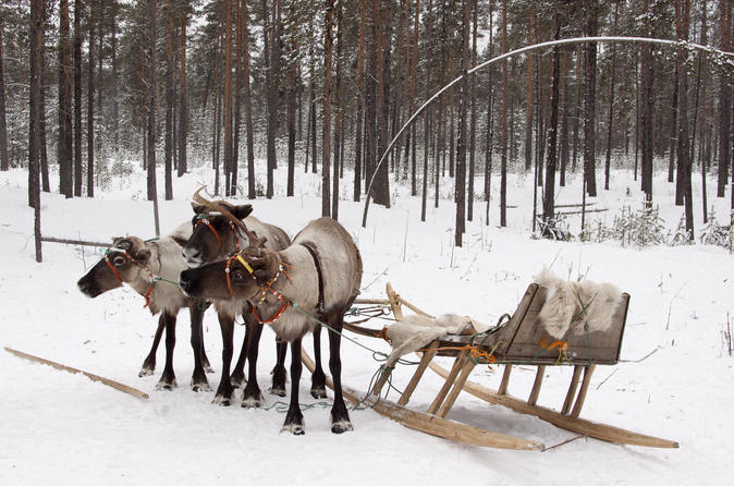 Lapland Reindeer Sleigh Ride and Traditional Sami Lunch from Tromso 2021